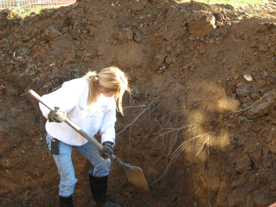 Hebrews 13:17: Spiritual Authority’s Most Abused Verse | Liberty for ...